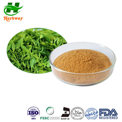 EGCG Green Tea Extract Powder Polyphenols Camellia Sinensis Green Tea ...