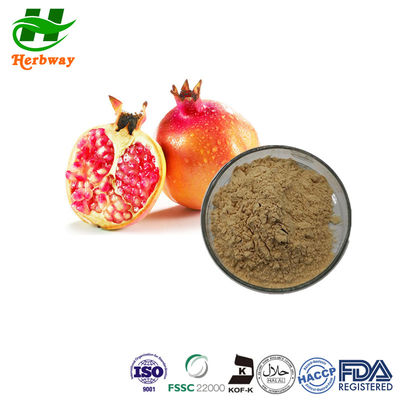 65995-63-3 Pomegranate Extract Powder Punica Granatum Extract ...