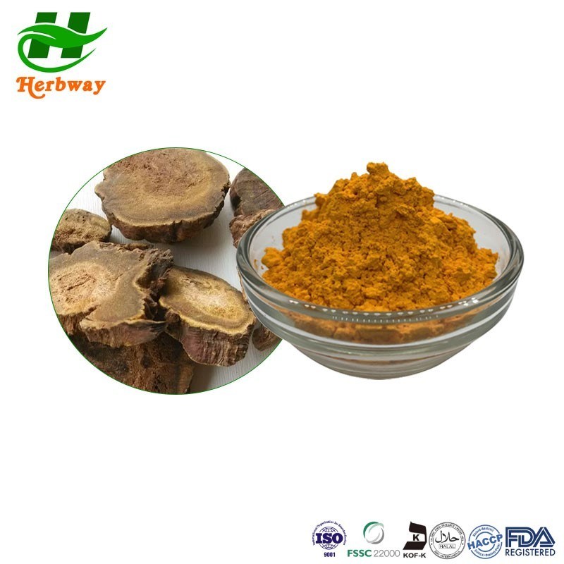 Rhubarb Root Extract HPLC 50% Rheum Emodin CAS 518-82-1 Rhei Radix Et ...