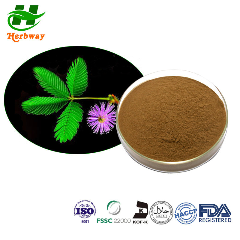 mimosa hostilis root