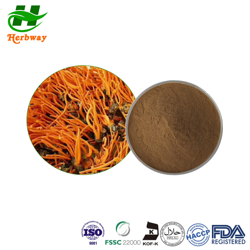 Cordyceps Extract Powder Cordyceps Militaris Extract 50% Polysaccharides