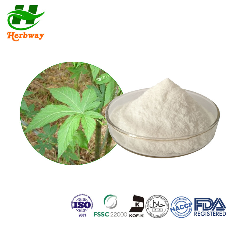 ISO Sweetener Powder Sweet Tea Extract 70%-85% Rubusoside For Food Addtive