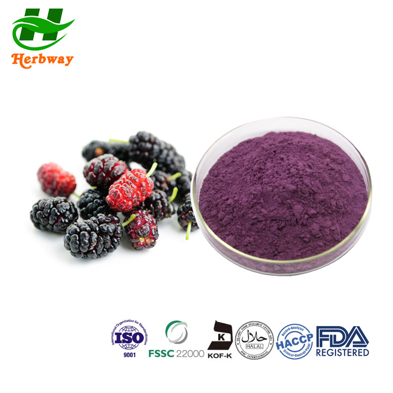CAS 528-58-5 Mulberry Fruit Extract 25% Anthocyanin Natural Antioxidants