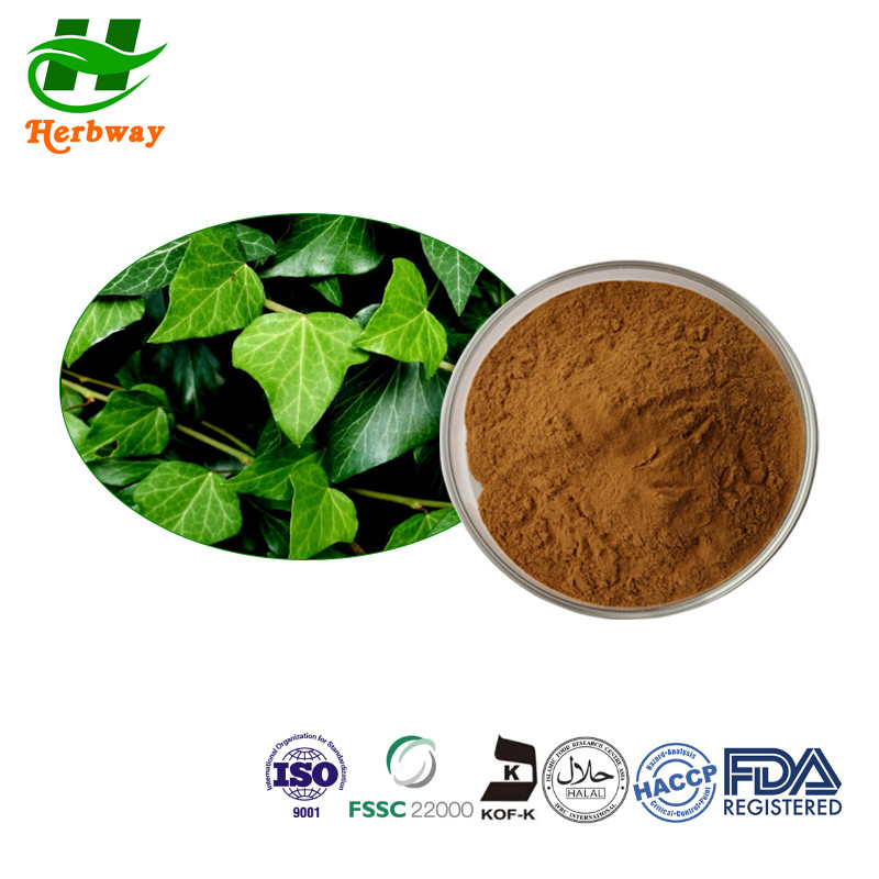 Herbal Plant Extract Powder Ivy Leaf Extract CAS 84082-54-2 Hederagenin