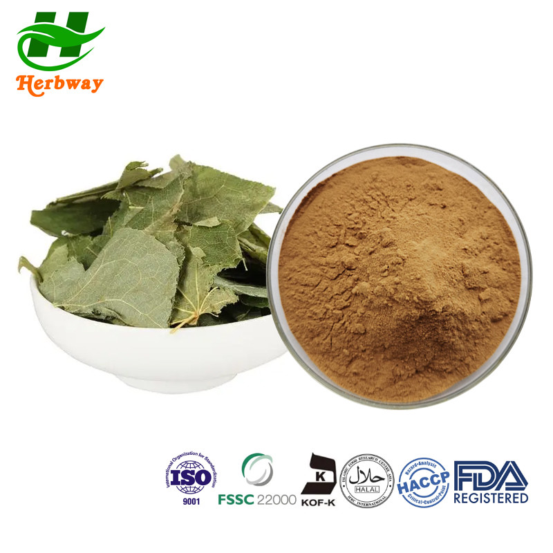 Epimedium Extract CAS 489-32-7 Icariins / Icariin Natural Horny Goat ...