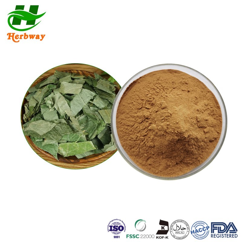 HPLC 20% Icariins Epimedium Extract Powder CAS 489-32-7 Epimedium ...