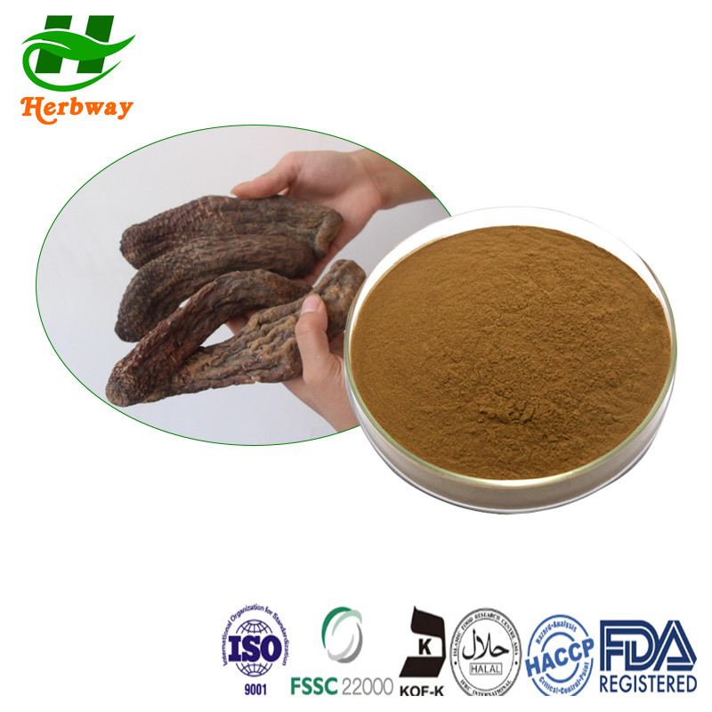 Anti Aging Cistanche Tubulosa Extract Powder 4:1 10:1 Cistanche ...