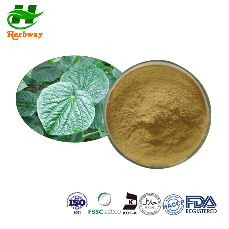 Kava Root Extract Powder 30% 70% Kavalactone Powder CAS 9000-38-8