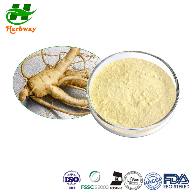 ISO9001 Panax Ginseng Extract Powder 80% Ginsenosides CAS 72480-62-7