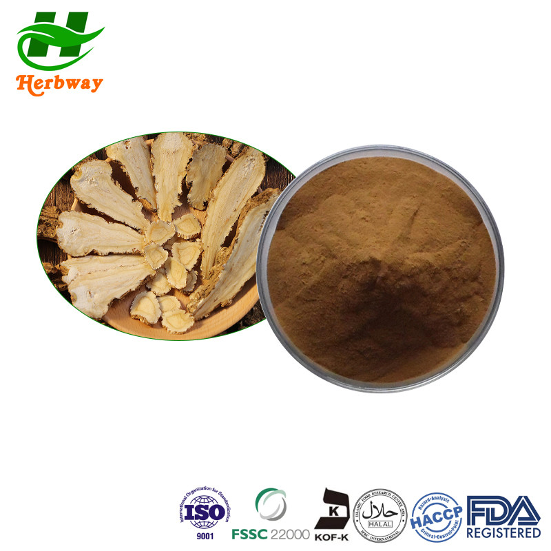 Dong Quai Extract Powder Herbal Extract Angelica Sinensis Extract