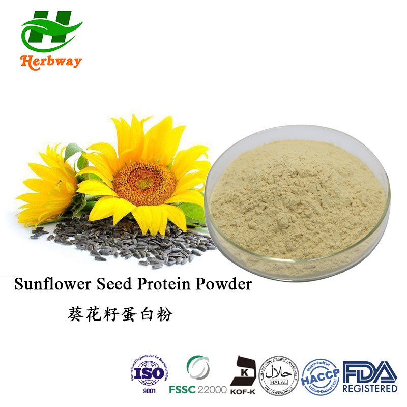 Organic 60%Sunflower Seed Protein Powder Sunflower Seed Extract