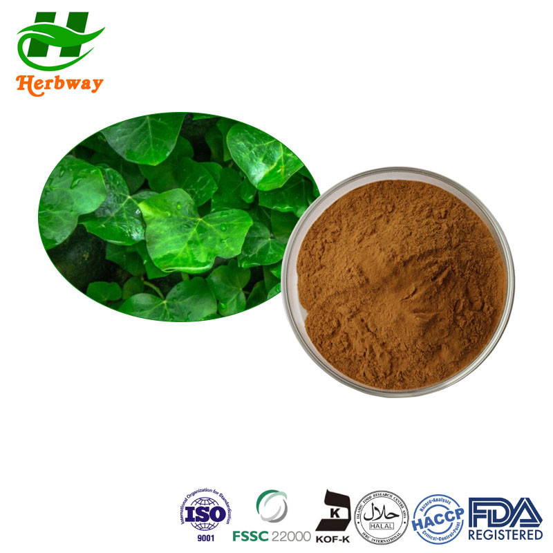 Plant Extract Powder Ivy Leaf Extract Hederacoside CAS 14216-03-6 Ivy ...