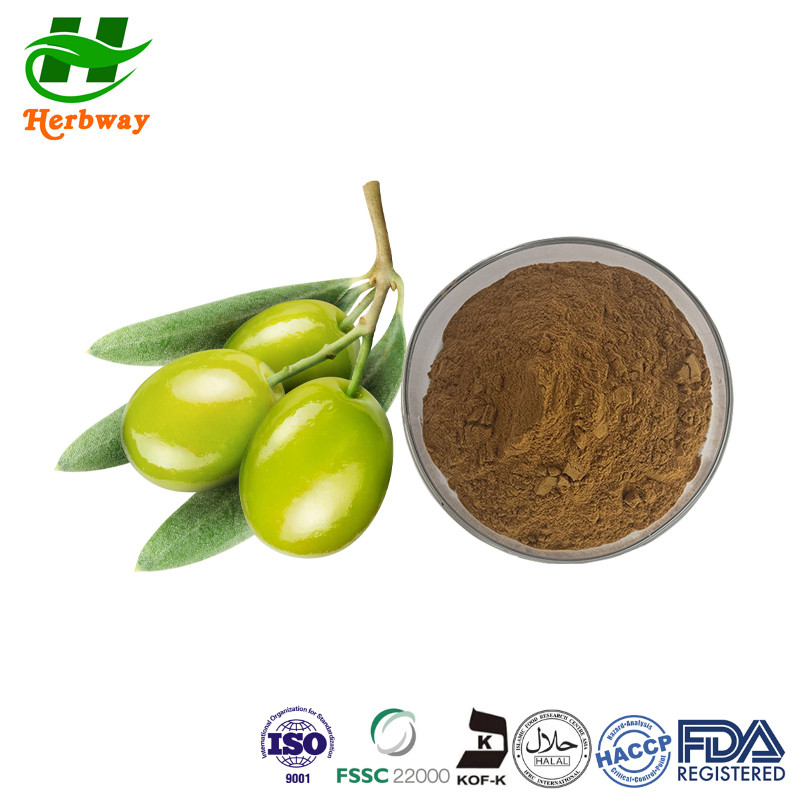 Olive Leaf Extract Oleuropein CAS 32619-42-4 Hydroxytyrosol Olea ...