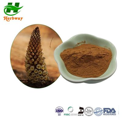 Cistanche Tubulosa Extract Powder factory, Buy good quality Cistanche ...